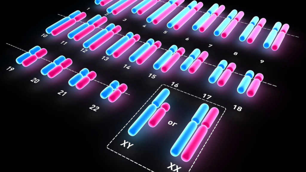 Get Detailed Genetic Insights with Our Karyotype Blood Test | Andrology ...